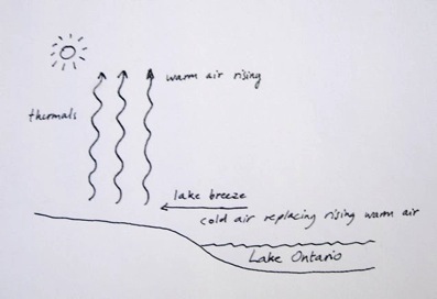 lakebreeze