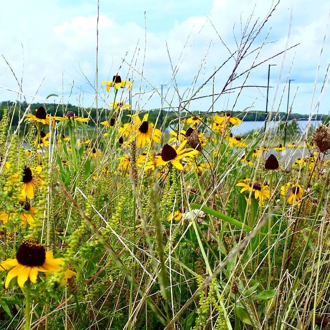 Onondaga Lake