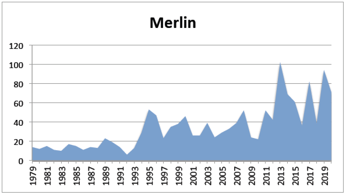 Yearly Count Charts