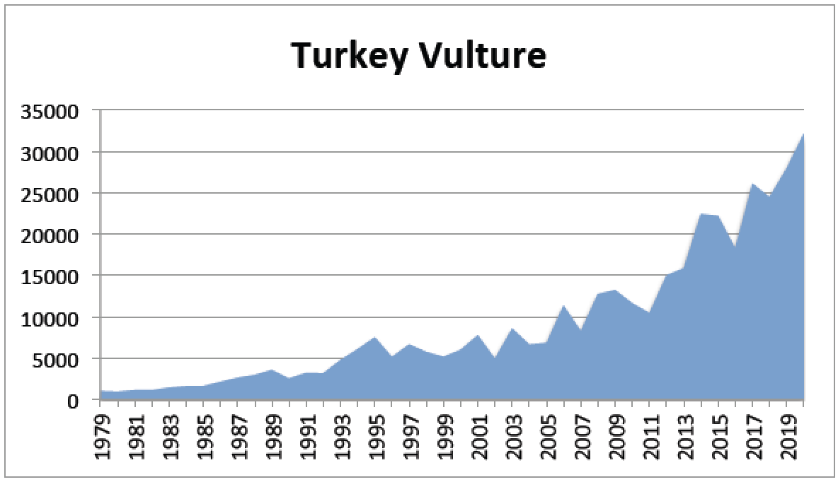Yearly Count Charts